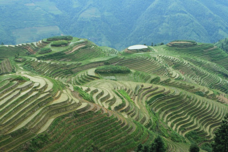 Kitajska | Agencija Oskar - Blog