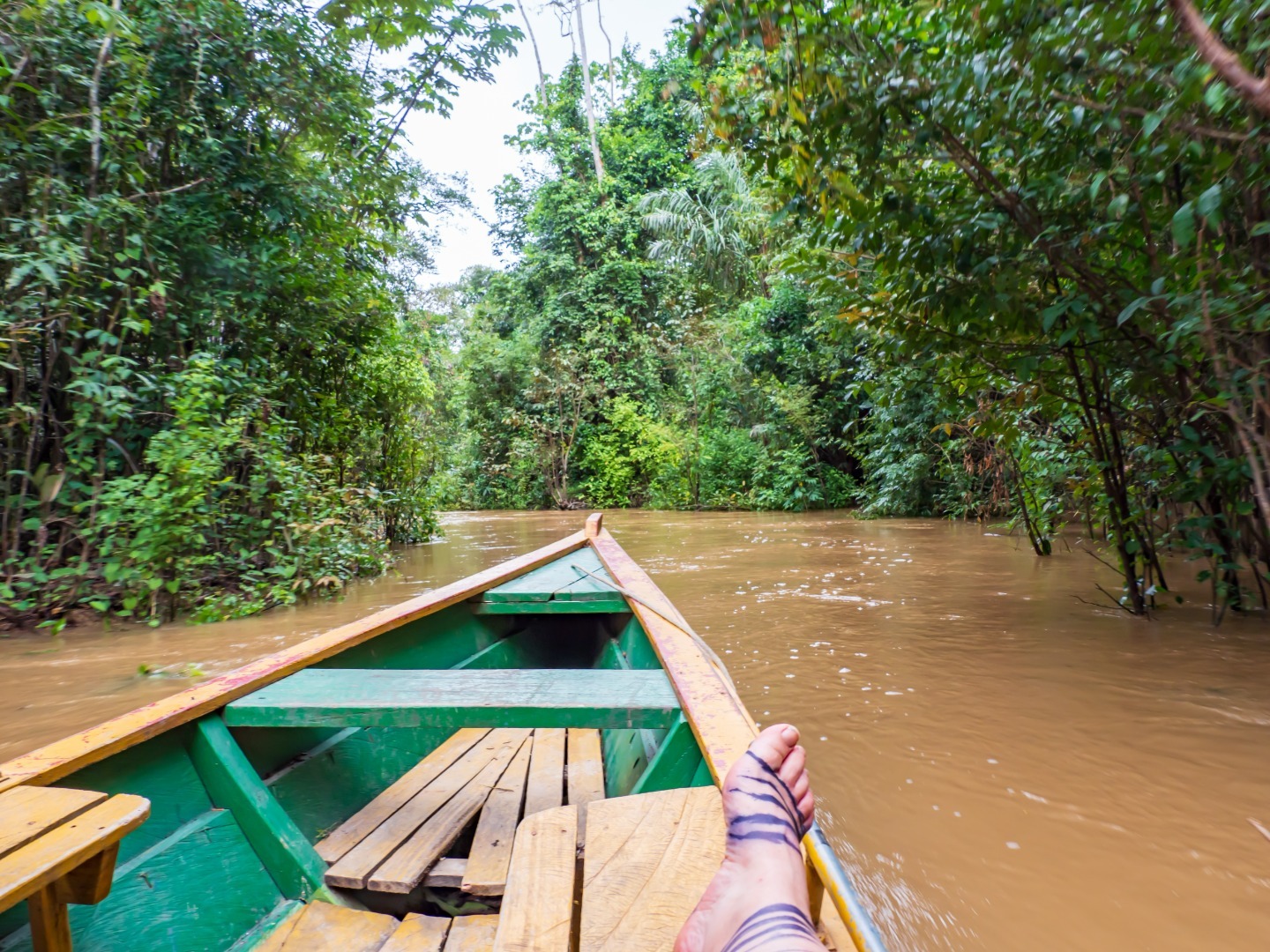 Brazilija – prvinska Amazonija | Agencija Oskar